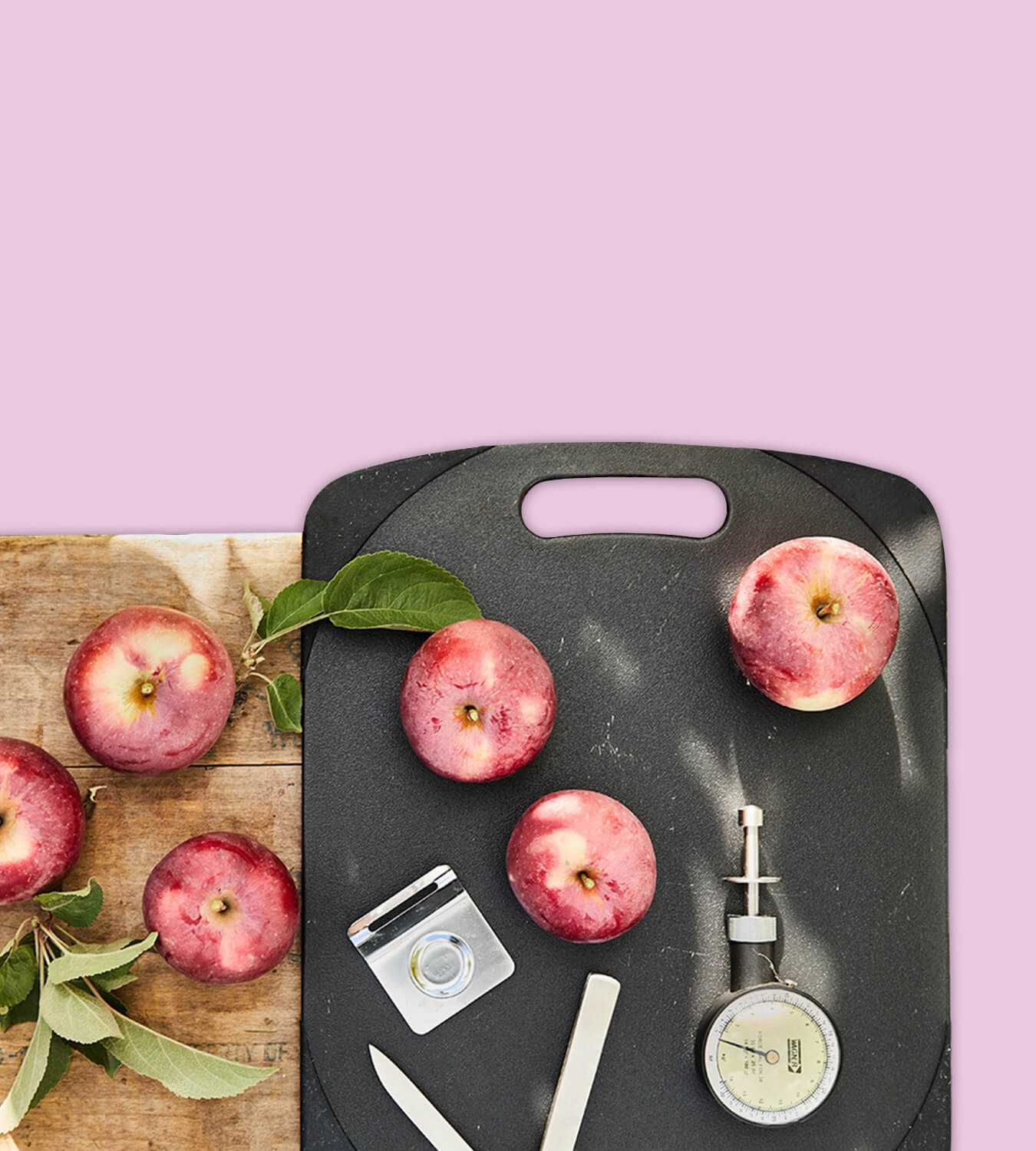 The Apple Tasting Process: A Chef's Approach – Yes! Apples